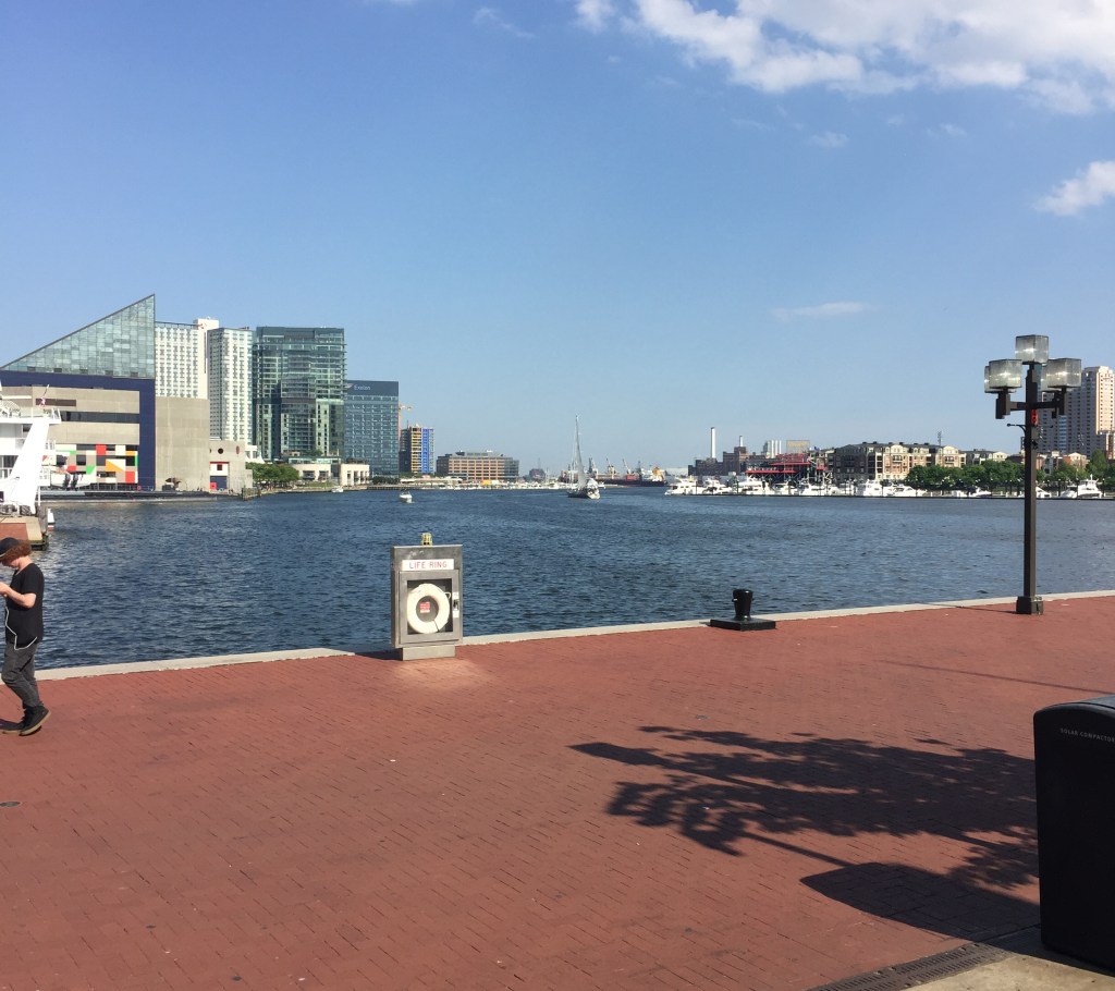 The Bunfight – Food, friends and adventure
